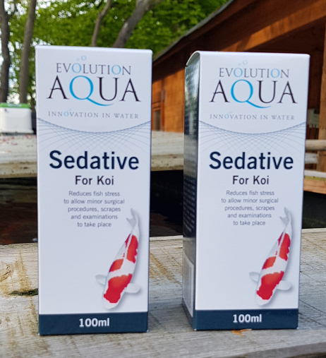 Koi health products, Virkon Aquatic and Koi Clear ozonated gel